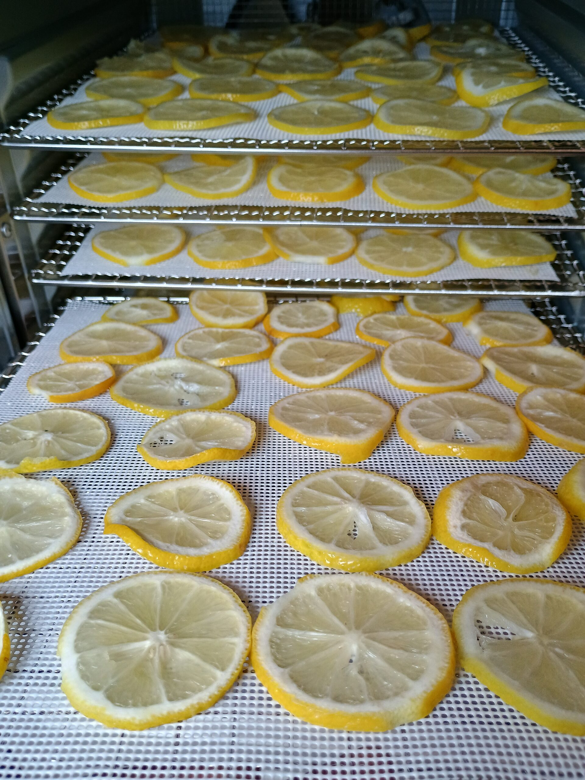 How to Dehydrate Citrus Slices (Lemon Slices, Lime Slices, Orange ...