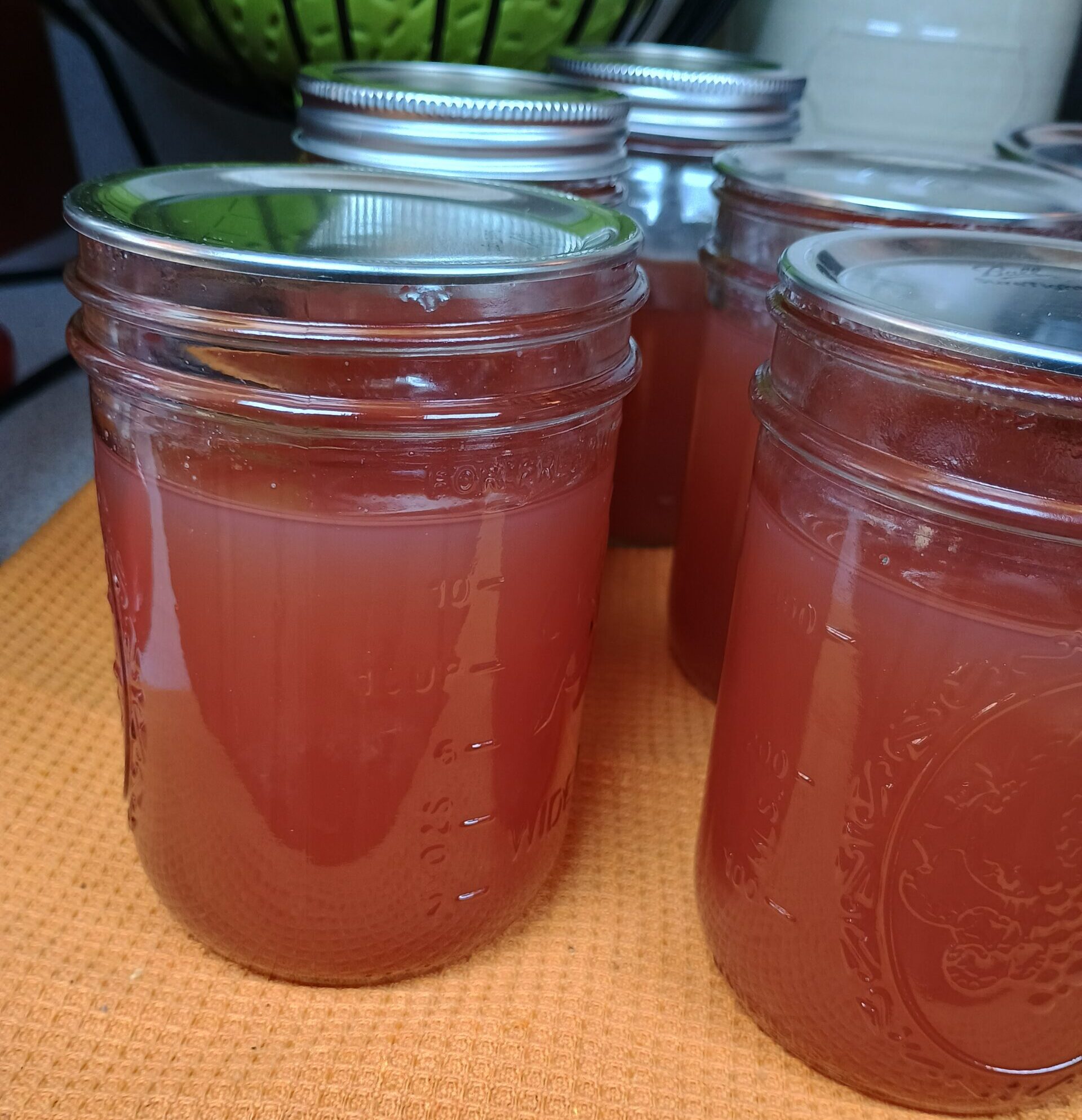 Red Grape Jelly (Canning Recipe) - ShellyBird Garden