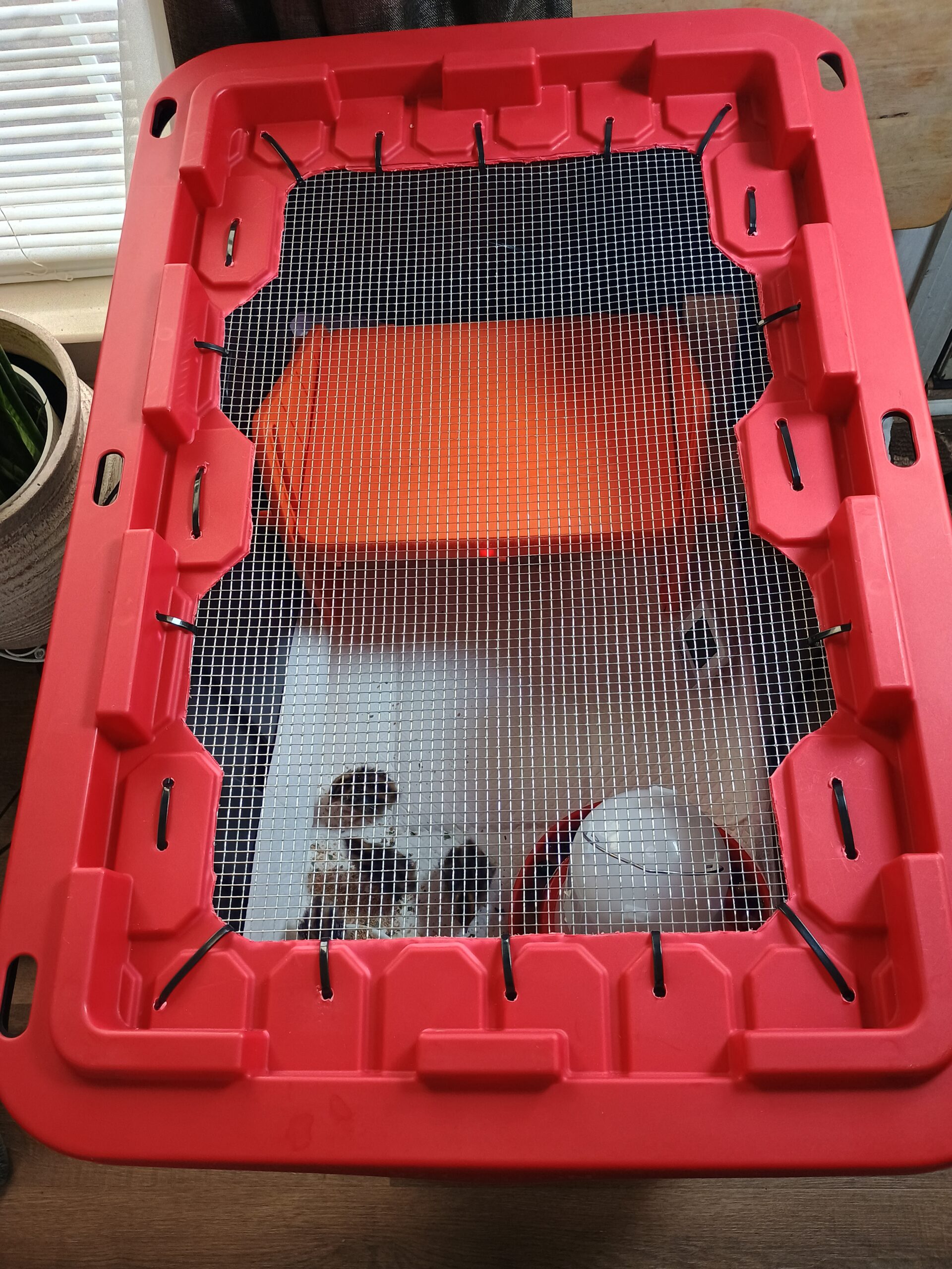 Quail Brooder from a Storage Tote - ShellyBird Garden