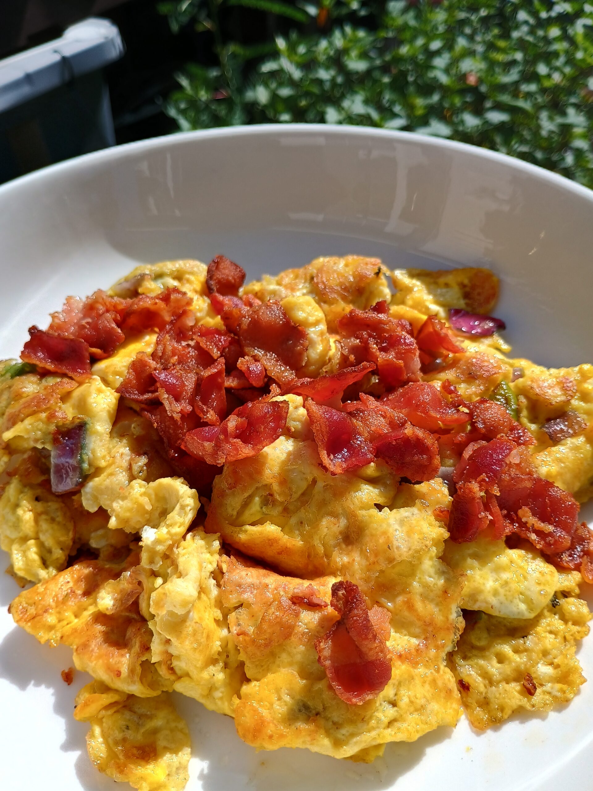 Messy Omelette with Bacon - ShellyBird Garden